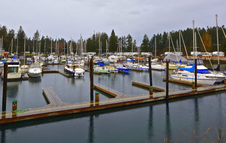 Gallery: Our Resort - Pacific Playgrounds Oceanside Resort